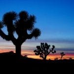 Sunset & Stargazing - Private Guided ATV Tour | Happy Trails Rental
